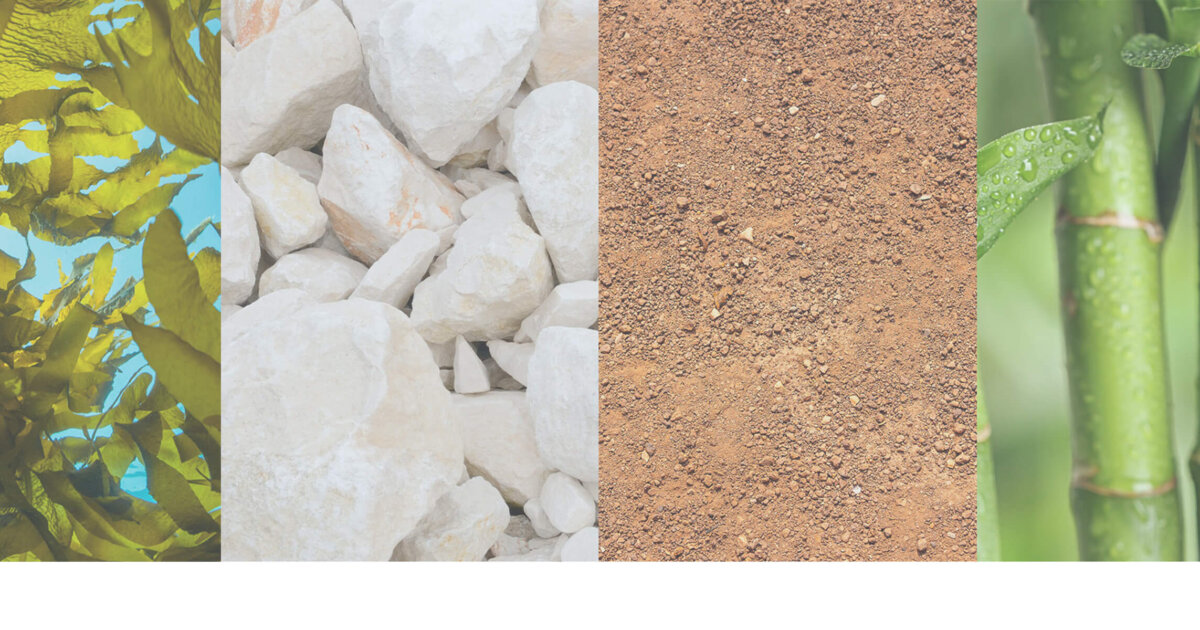 Bio-Based and Natural Materials – Perkins&Will